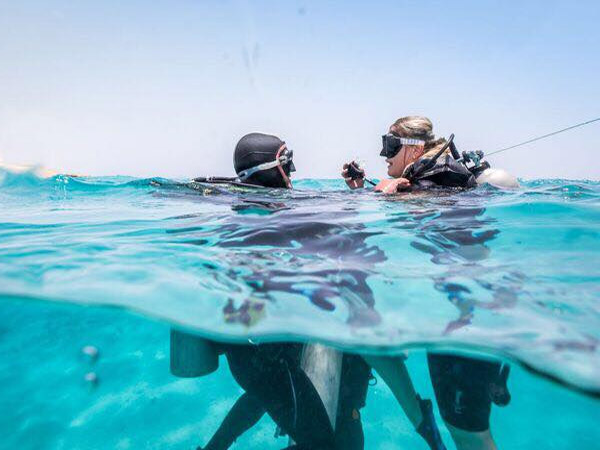 Dive Master (SSI) - Ducks Superior